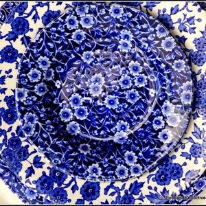 Burleigh China Graduated Plates Combination of Blue Calico & Arden Rich ...