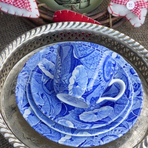 Spode Blue Room Series Cup Saucer Rare Sunflower 4 Piece Pattern Iconic ...