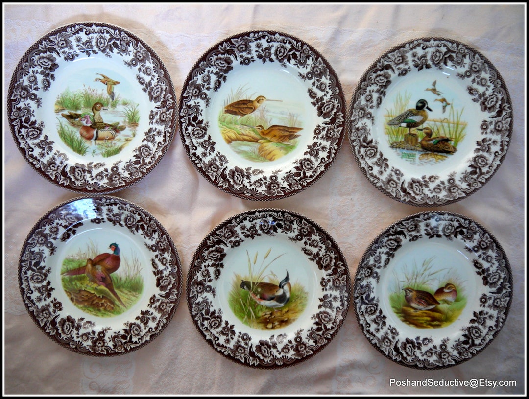 Spode Woodland Series Six 8" 20 Cm Plates GAME BIRDS Brown English ...