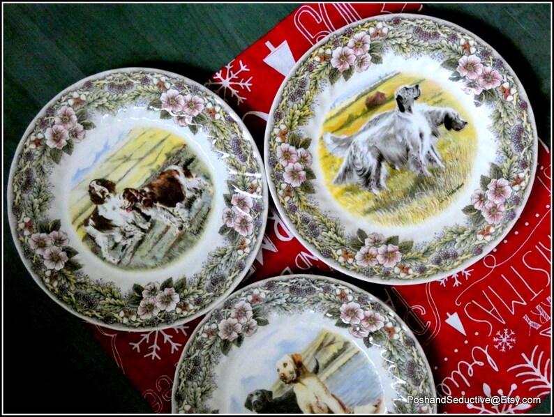 Hunting Dogs THREE China Dinner Plates Collection Set Countryside ...