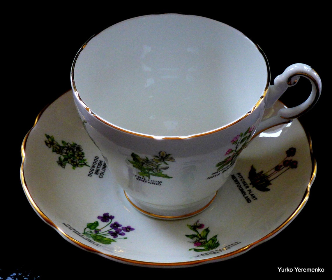 Fine Bone China Rare Collectible Tea Cup and Saucer Made in | Etsy