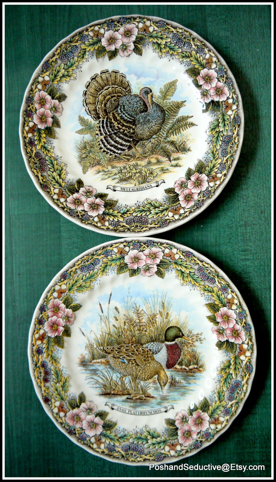 Wild Life Series Set Four Dinner Plates, Farmhouse Kitchen Dining China ...