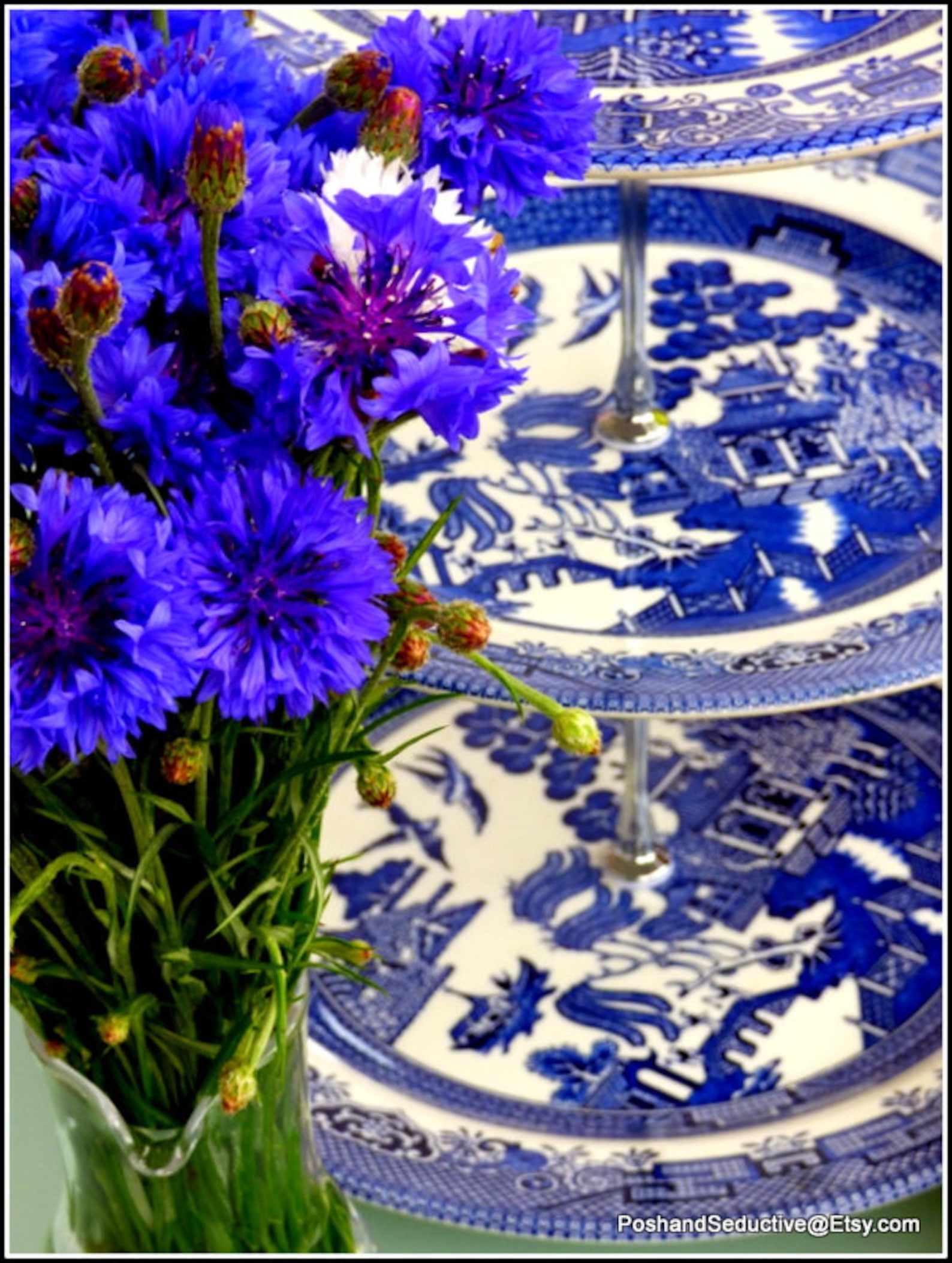 Churchill's Famous blue Willow Pattern | Etsy