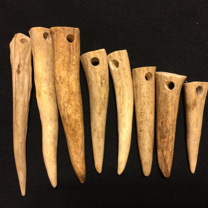 Antler Tip - Etsy