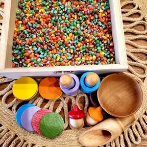 Sensory Starter Bin Tool Kit, Practical Life, Fine Motor, Wooden Scoop ...