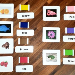 Color Matching Montessori Inspired Work With Color Tablets and Words ...
