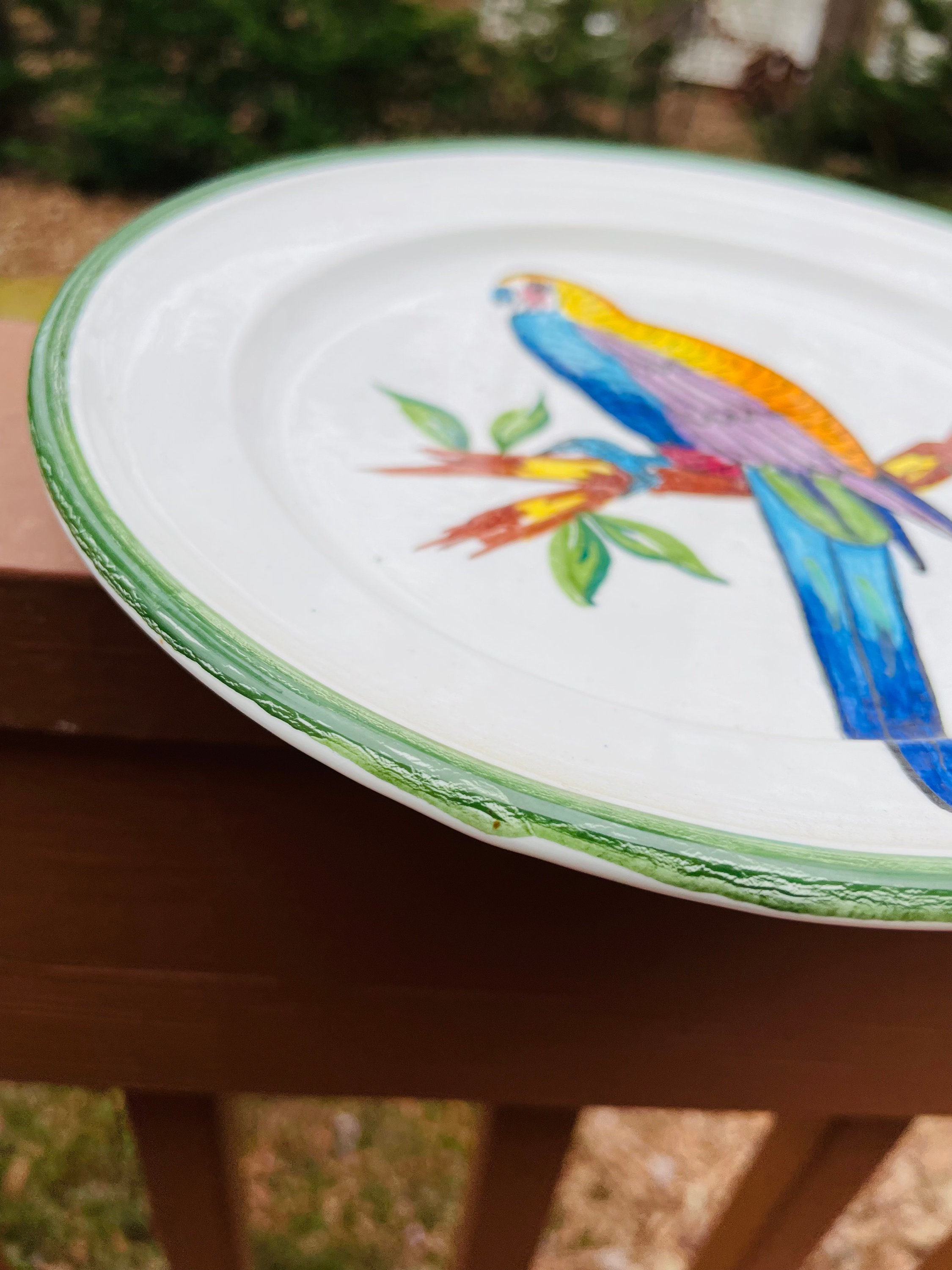 VIE68 Vietri Exotic Birds Plates Parrot Macaw Tucan Vintage Choice of 1 ...