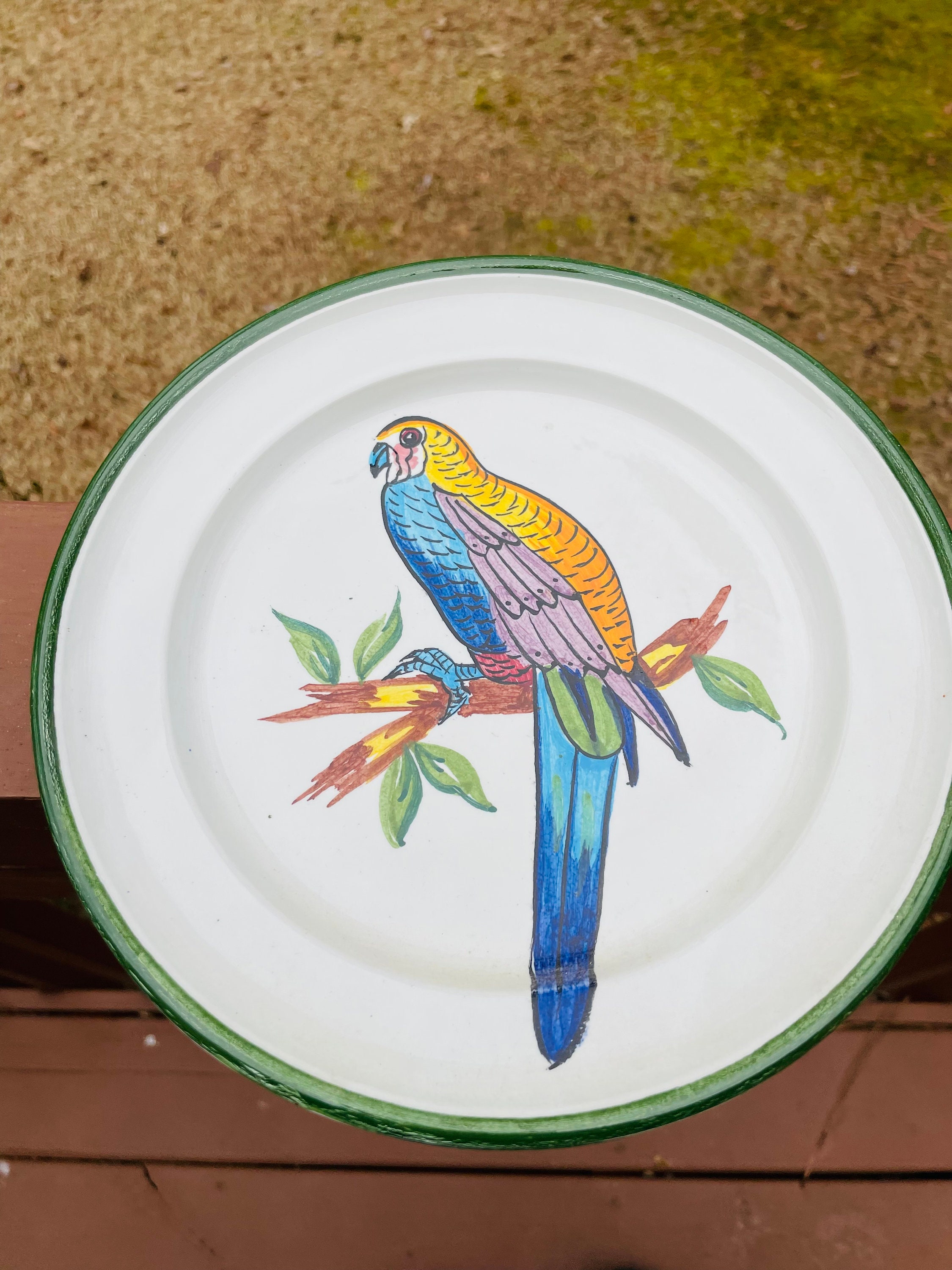 VIE68 Vietri Exotic Birds Plates Parrot Macaw Tucan Vintage Choice of 1 ...