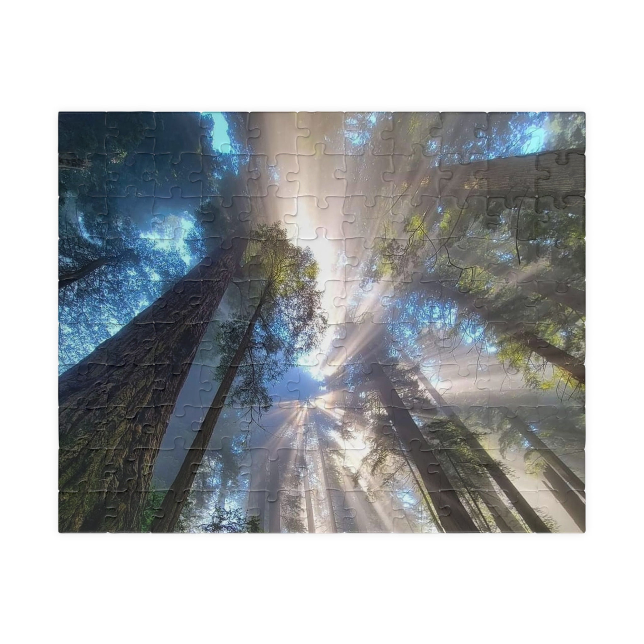 Redwood Sun Beams Puzzle - Etsy