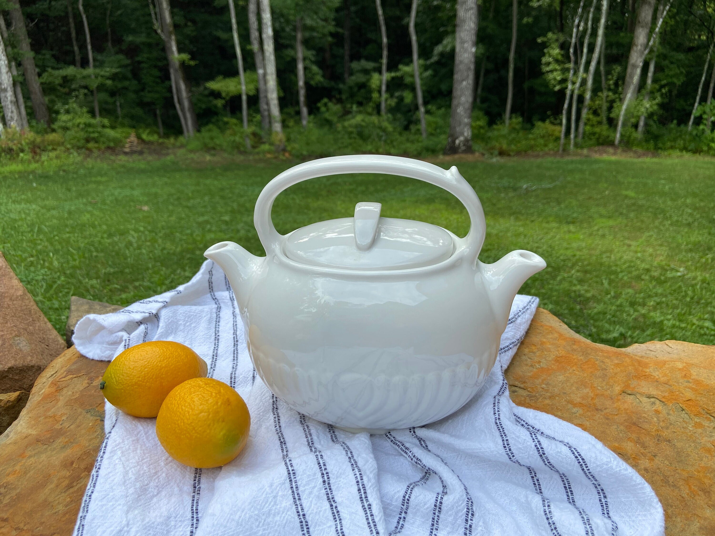 Vintage White Teapot Double Dual Two Spout Rare Collectible Adjusto Two ...