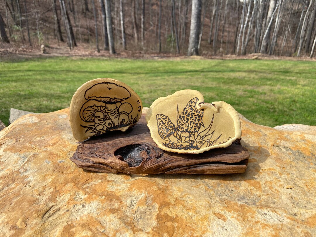 Vintage Unique Dried Tree Fungi With Mushroom Carvings Mounted on Wood ...