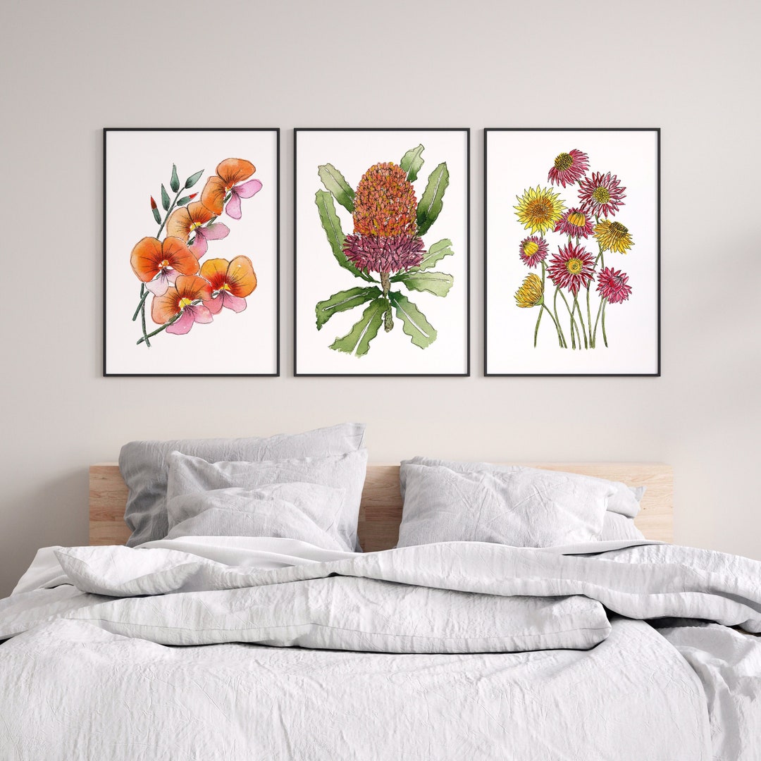 Set of 3 Australian Watercolour Floral Art Prints Flame Pea Banksia ...
