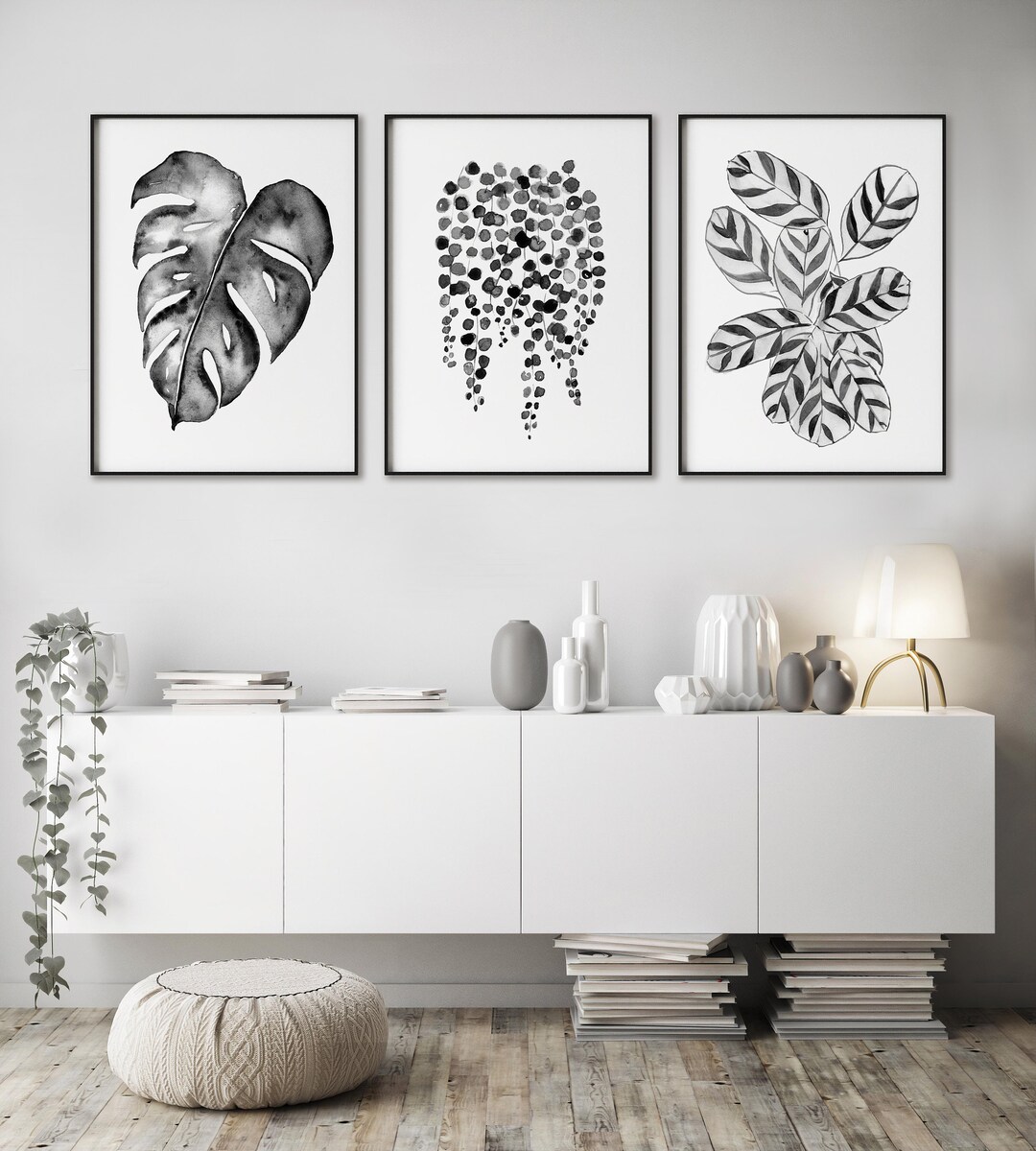 Set of 3 Monochrome Prints Monstera, String of Pearls, Ctenanthe Grey ...