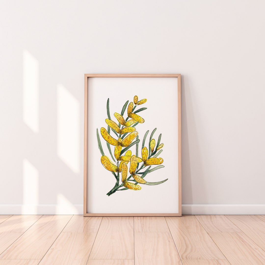 Wattle Art Australian Native Floral Print A4 A3 A2 Wall Art Decor From ...