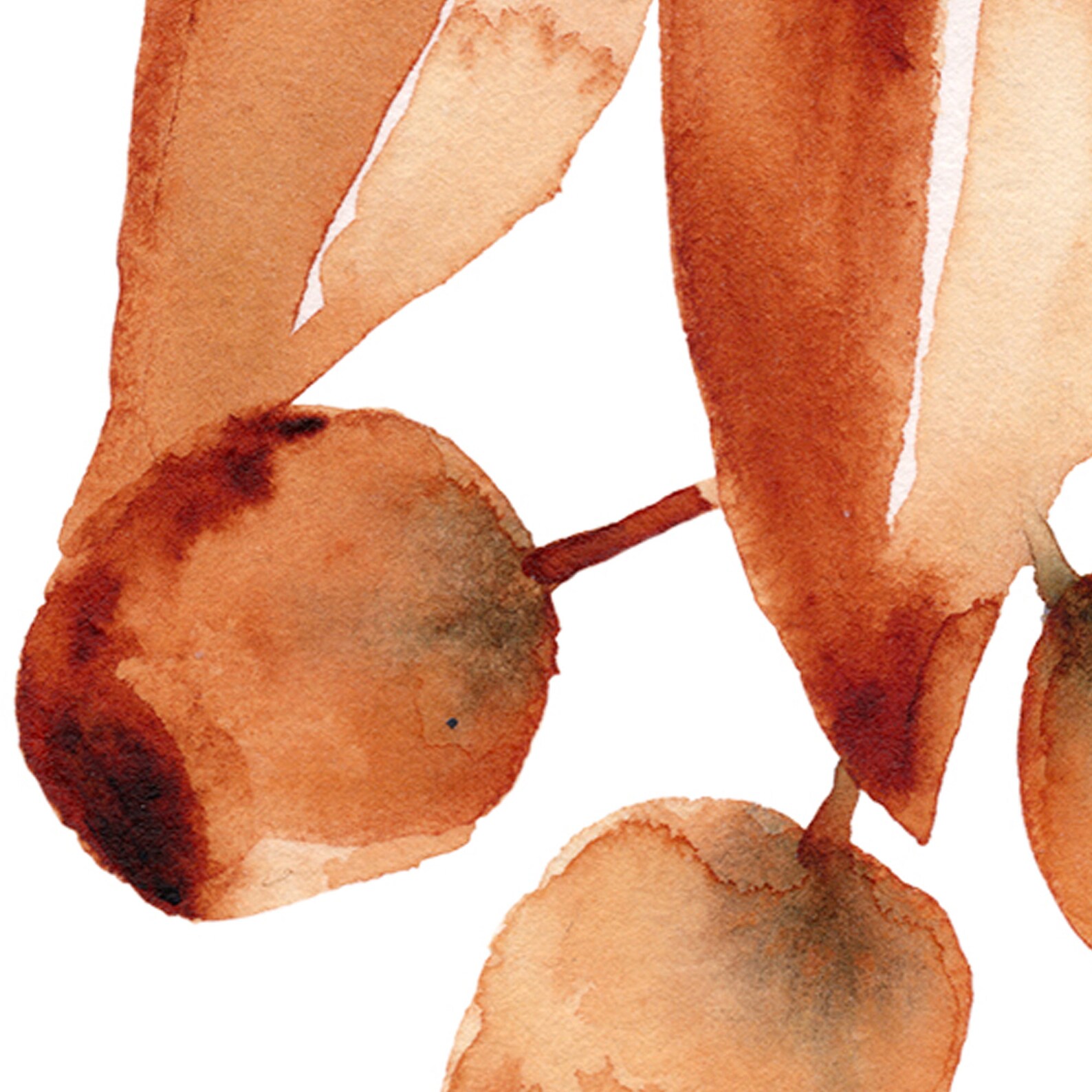 Australian Gum Tree Art Brown Watercolour Art Print Set Living Room ...