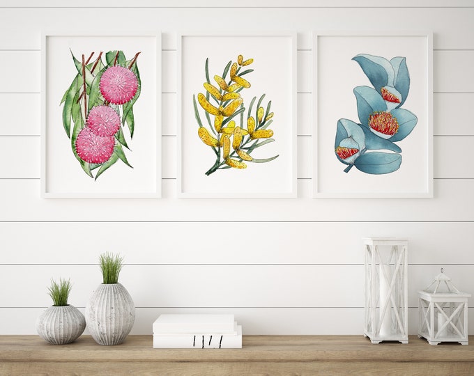 Australian Wildflower Wall Decor, Set of 3 Botanical Watercolour Prints ...