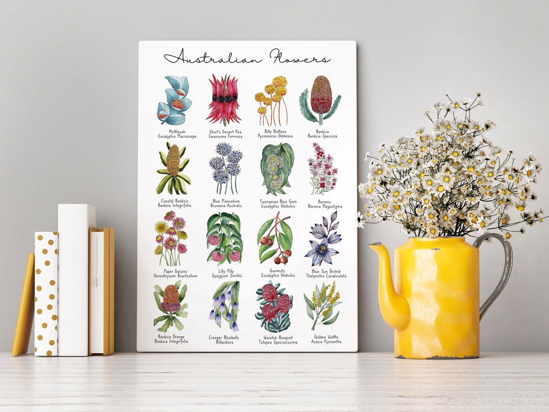 Australian Native Floral Chart Botanical Display First Set Beautiful ...