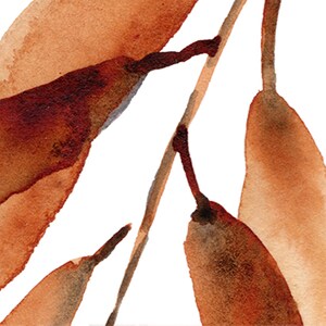 Australian Gum Tree Art Brown Watercolour Art Print Set Living Room ...