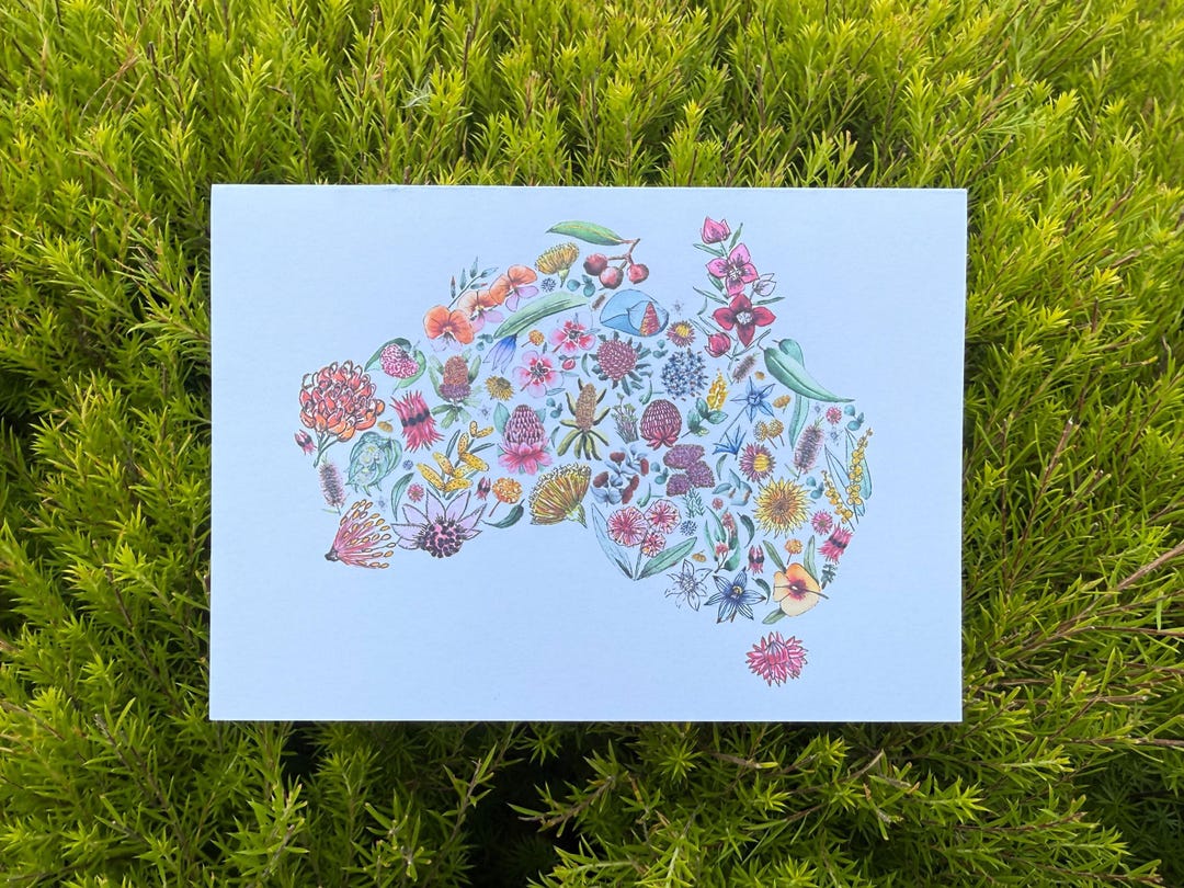 Map of Australia Floral Native Cards Blank Pack of 5, Pack of 10, Pack ...