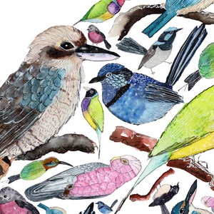 Map of Australia Native Birds Watercolour Canvas Print Stretched and ...