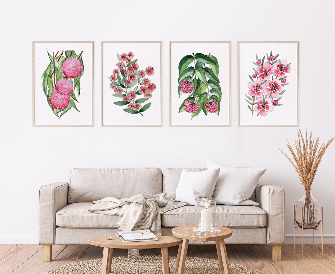 Hakea Wattle Lilly Pilly Tea Tree Red Pink Set of 4 Australian Native ...