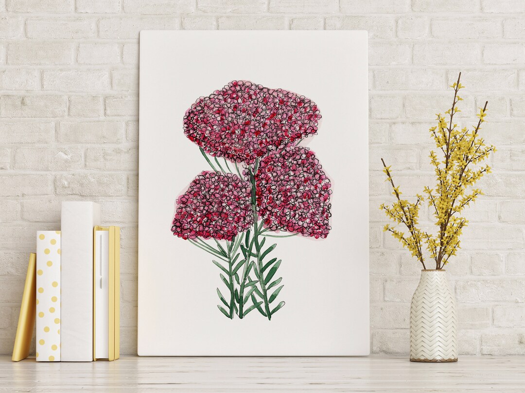 Australian Native Rice Flower Watercolour Canvas Print Stretched and ...