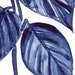 Hamptons Style Blue Wall Art Decor From Original Watercolour Paintings ...