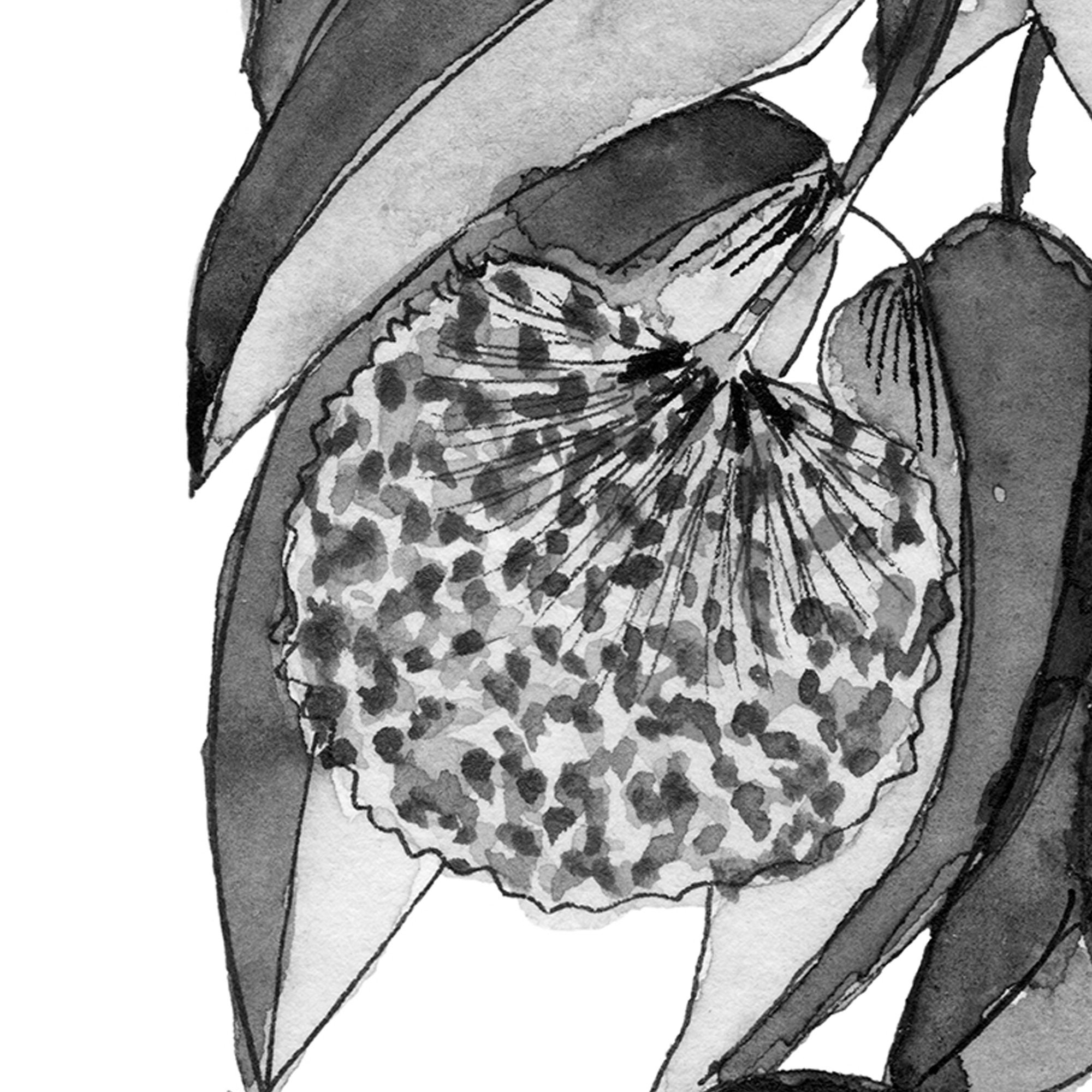 Lilly Pilly Black and White Wall Decor Prints to Beautify Your Hallways ...