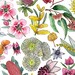 Australian Native Floral Wallpaper Wall Art Flower Wall Hangings ...