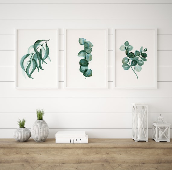 Prints Art & Collectibles 3 Pack Prints Gumnuts Australian Plants and ...