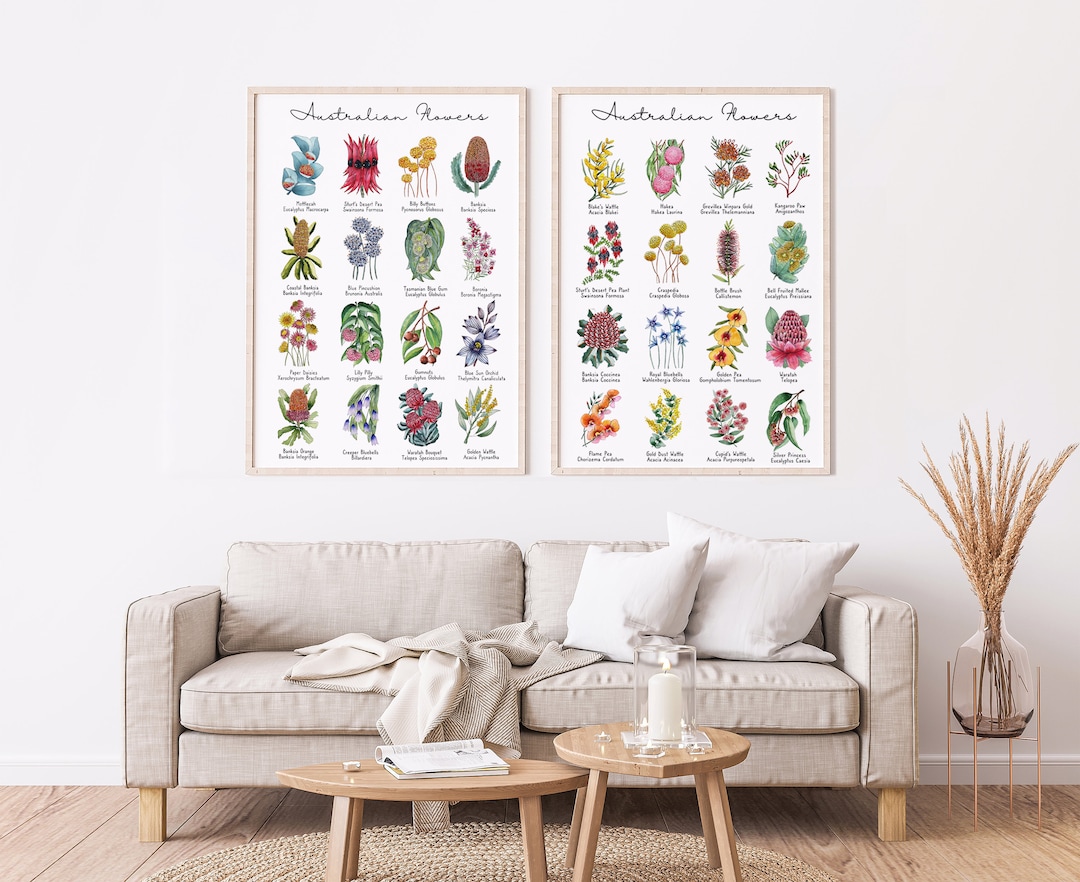 Set 2 Australian Native Floral Charts Botanical Wall Hangings ...