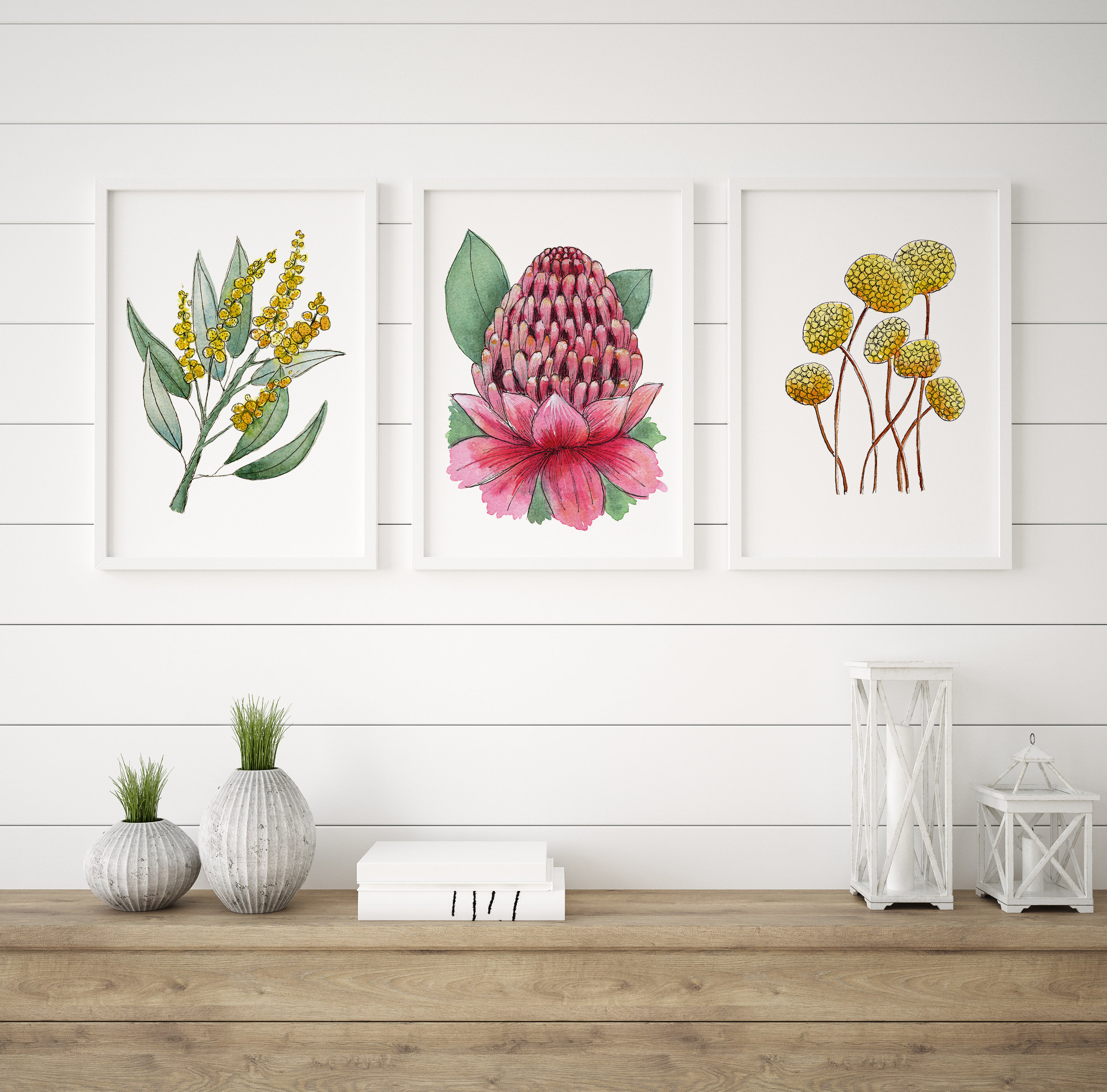 Australian Native Flower Prints Waratah Wattle A5 A4 A3 A2 Wall Prints ...