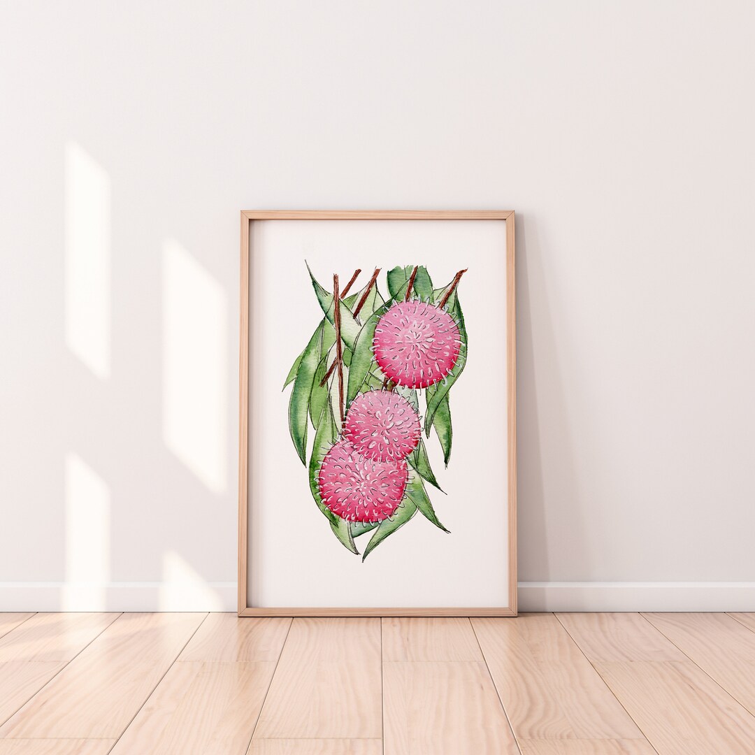 Pink Hakea Print Australian Native Flower Art A4 A3 A2 Modern Colourful ...