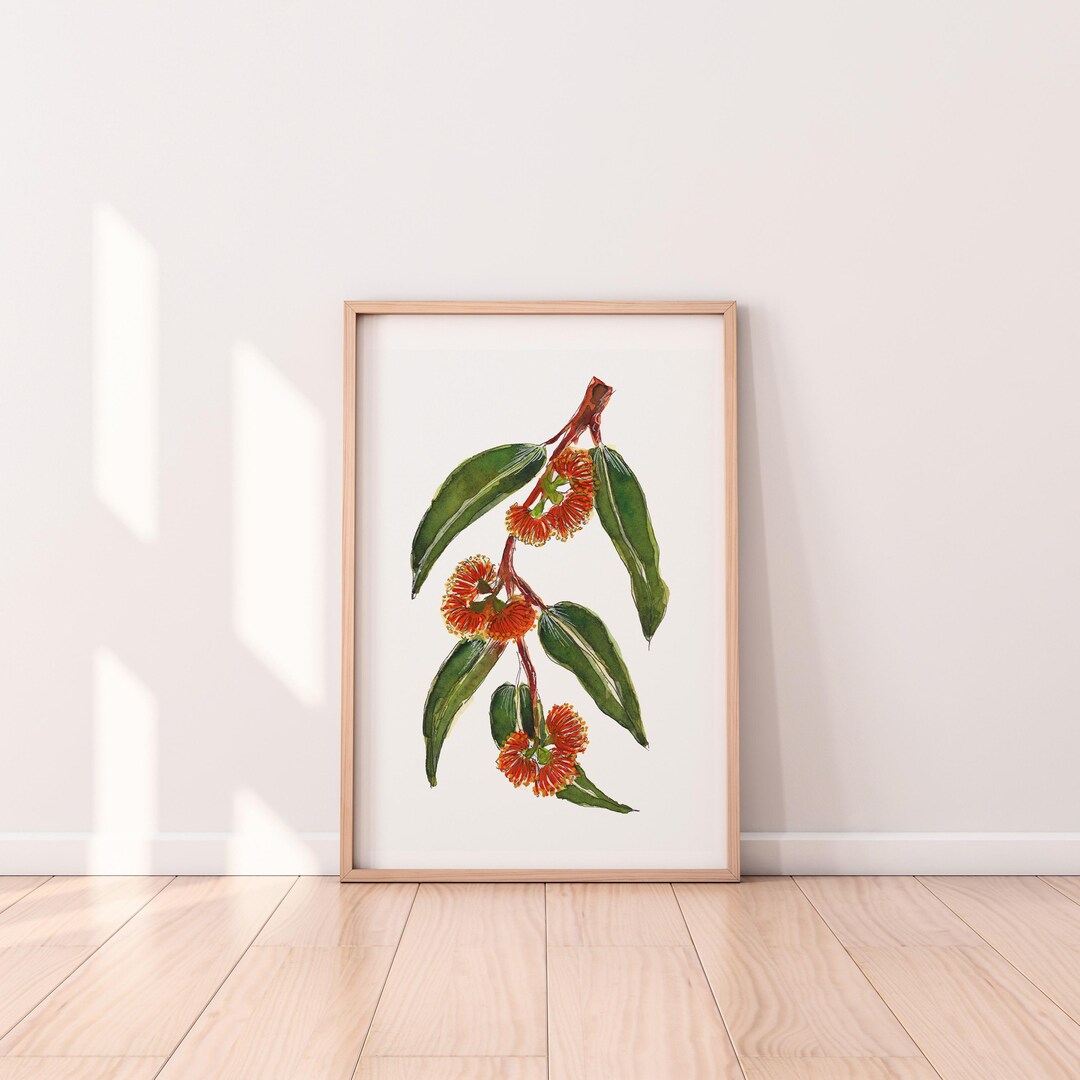 Scarlet Gum Eucalyptus Australian Native Flower Wall Art Print, Floral ...