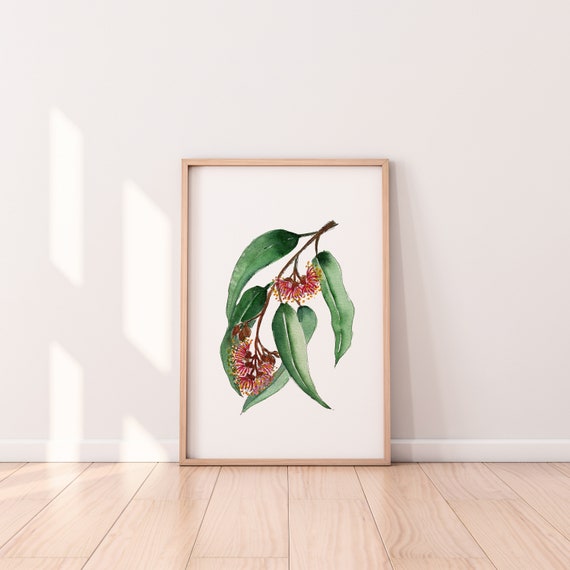 Eucalyptus Tree Australian Native Gum Leaf Print A4 A3 A2 Wall | Etsy ...