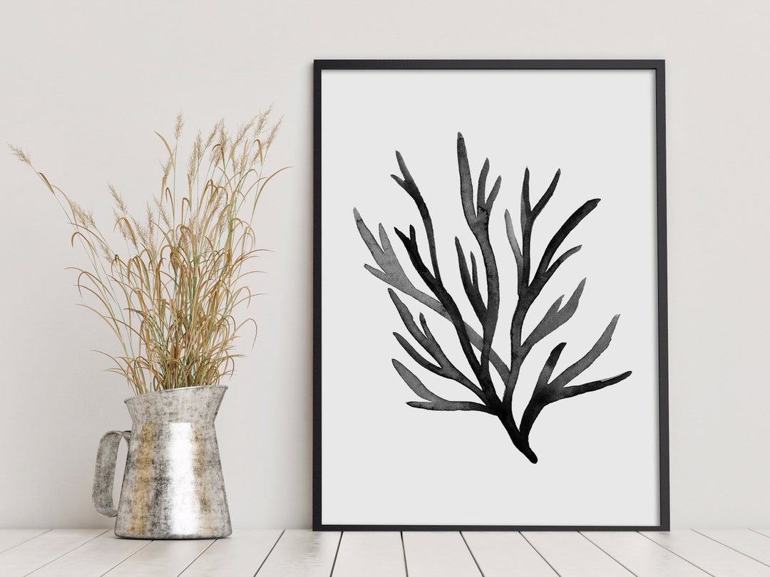 Codium Algae Serenity Watercolor Marine Life Seaweed Prints A5 A4 A3 A2 ...