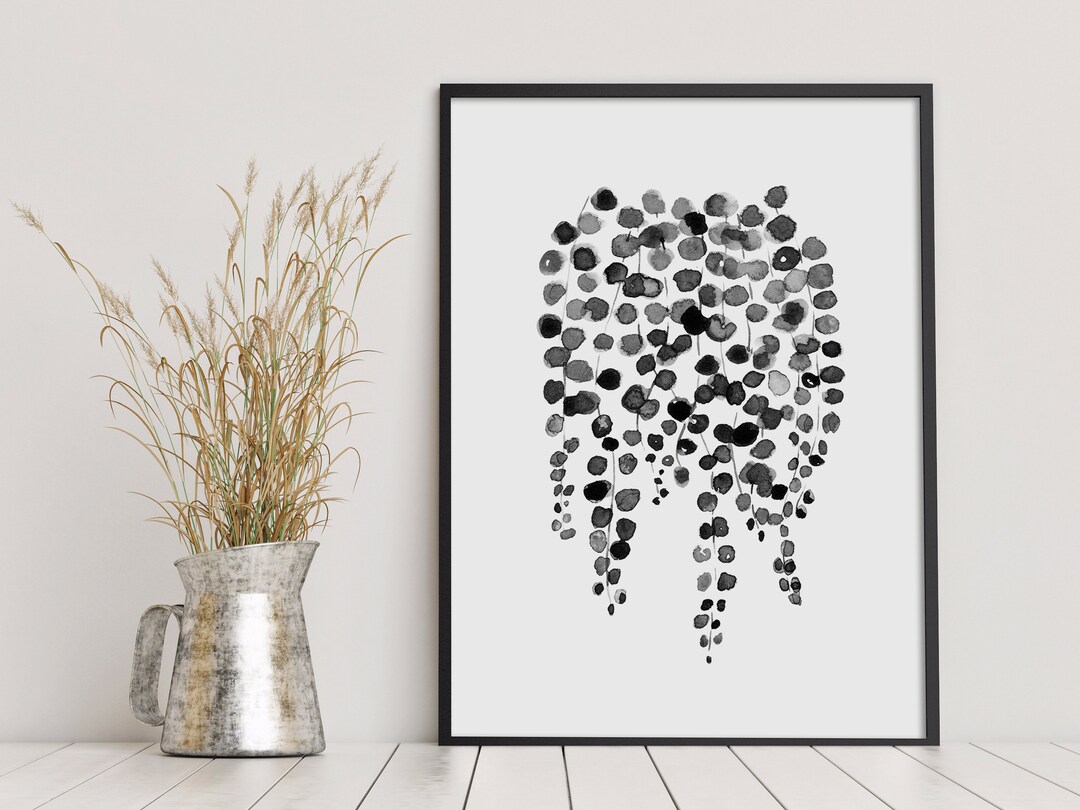 String of Pearls Black and White Wall Decoration Prints Botanical ...