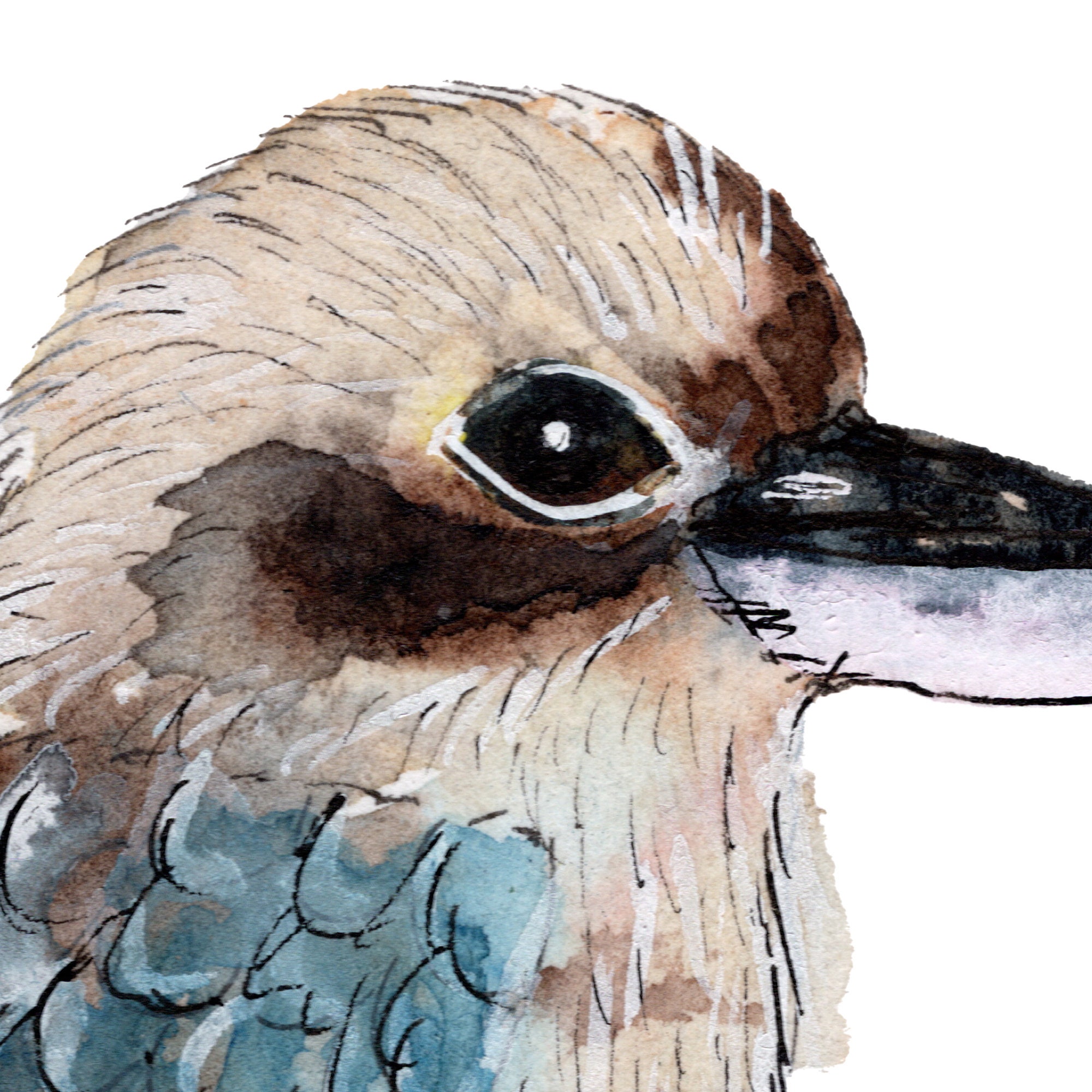 Kookaburra Australian Native, Bird Wall Prints, Fauna Art, Bird Lover ...