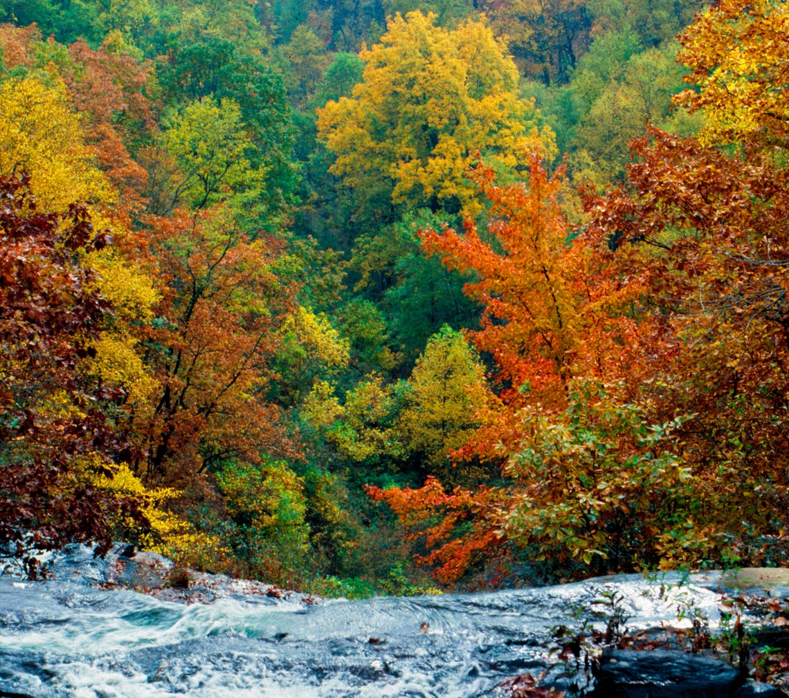 Amicalola Falls • Dawsonville, Georgia • Limited Edition Original Color ...