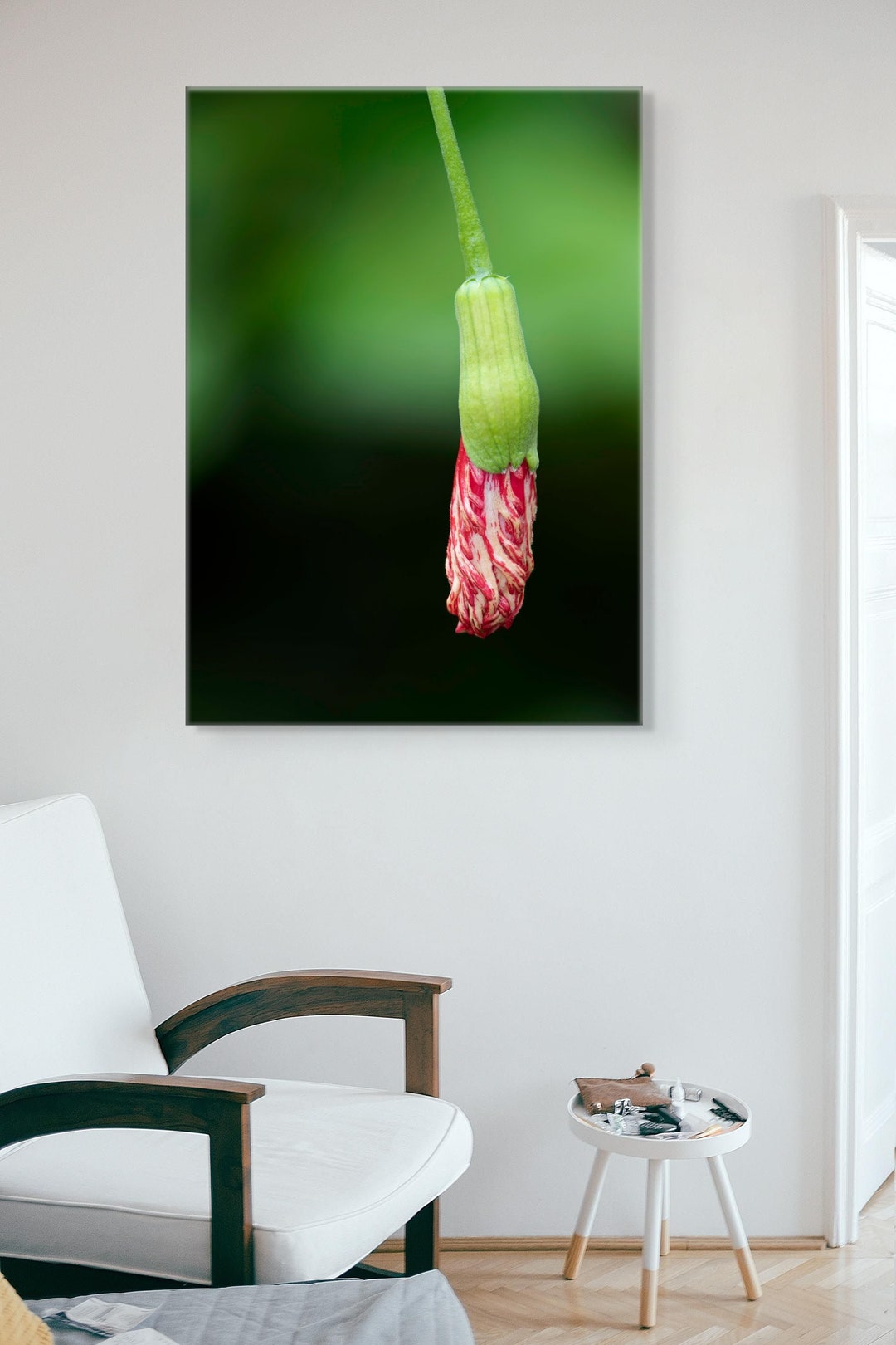 Pink Lady's Slipper • Original Photograph by Stevie Dan • Limited ...