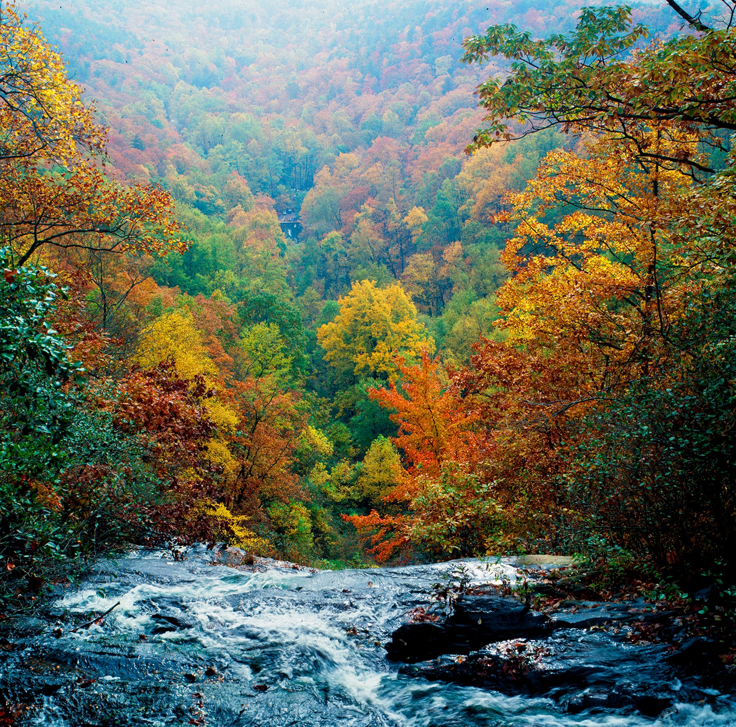 Amicalola Falls • Dawsonville, Georgia • Limited Edition Original Color ...