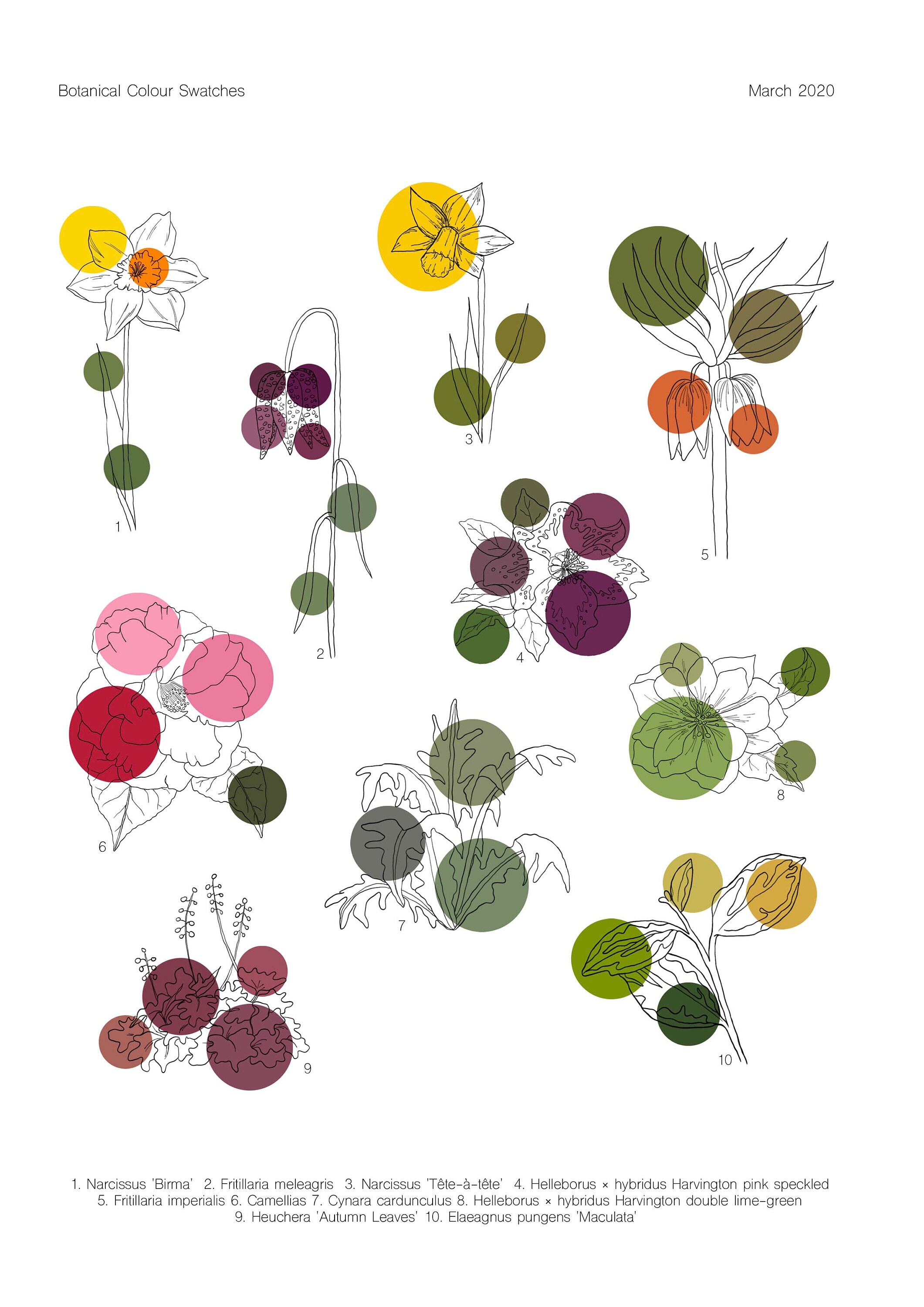 Botanical Digital Colour Swatches March 2020 Palette for - Etsy