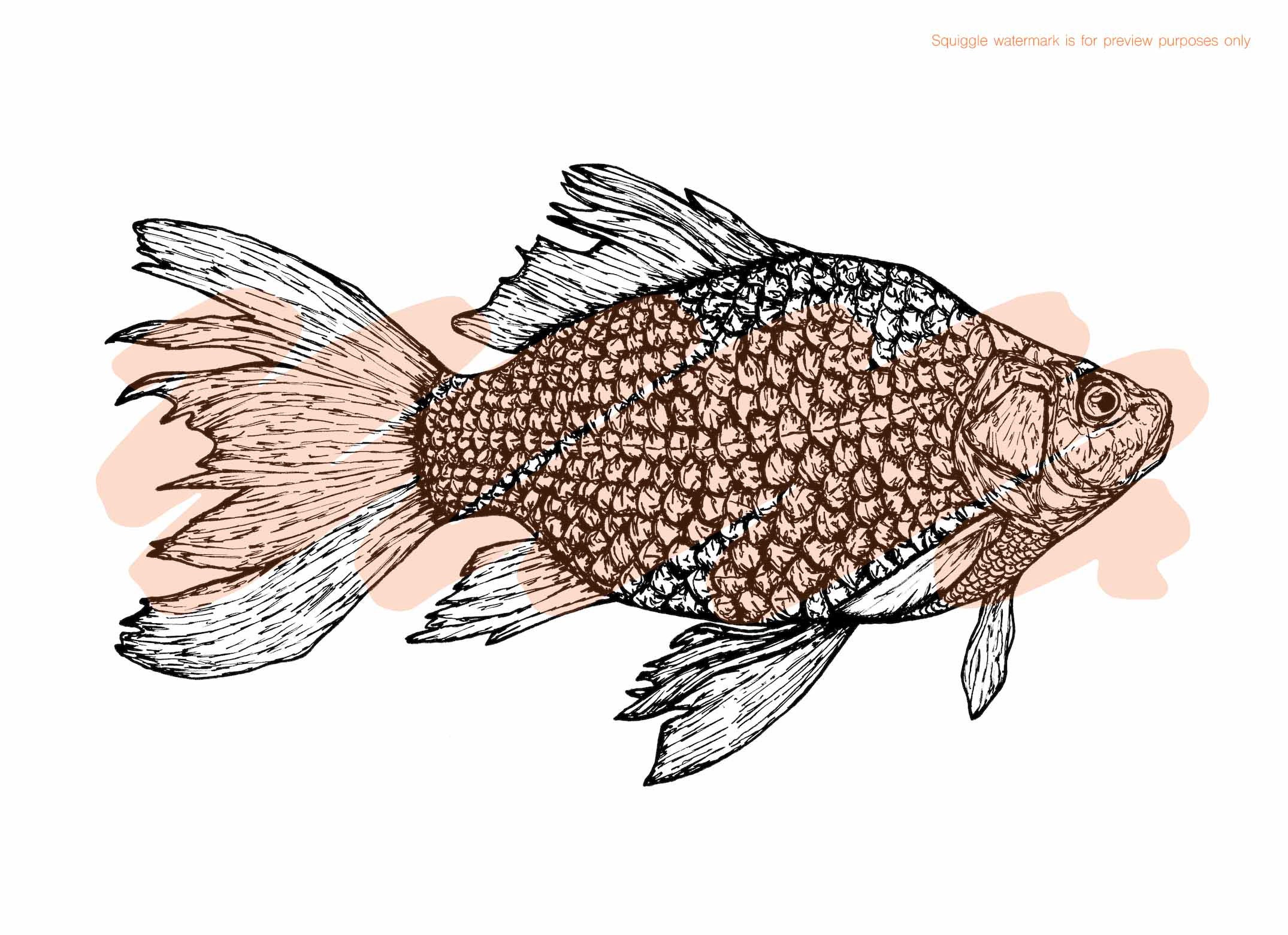 Goldfish Colouring Sheet. Downloadable PDF - Etsy