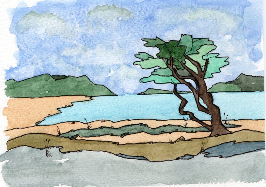 The Leaning Tree Kippford Original Watercolour - Etsy