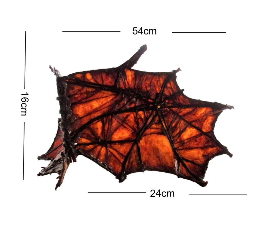 Bat Wings Bat Sculpture Abstract Animal Forms in Modern Metal Art Micro ...