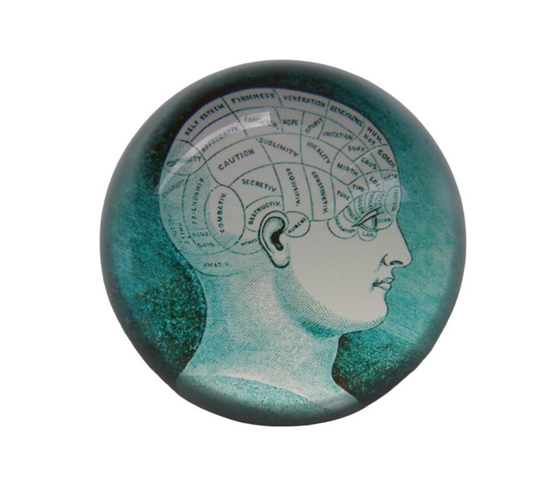 Victorian Steampunk Phrenology Chart, Glass Brain Paperweight for ...