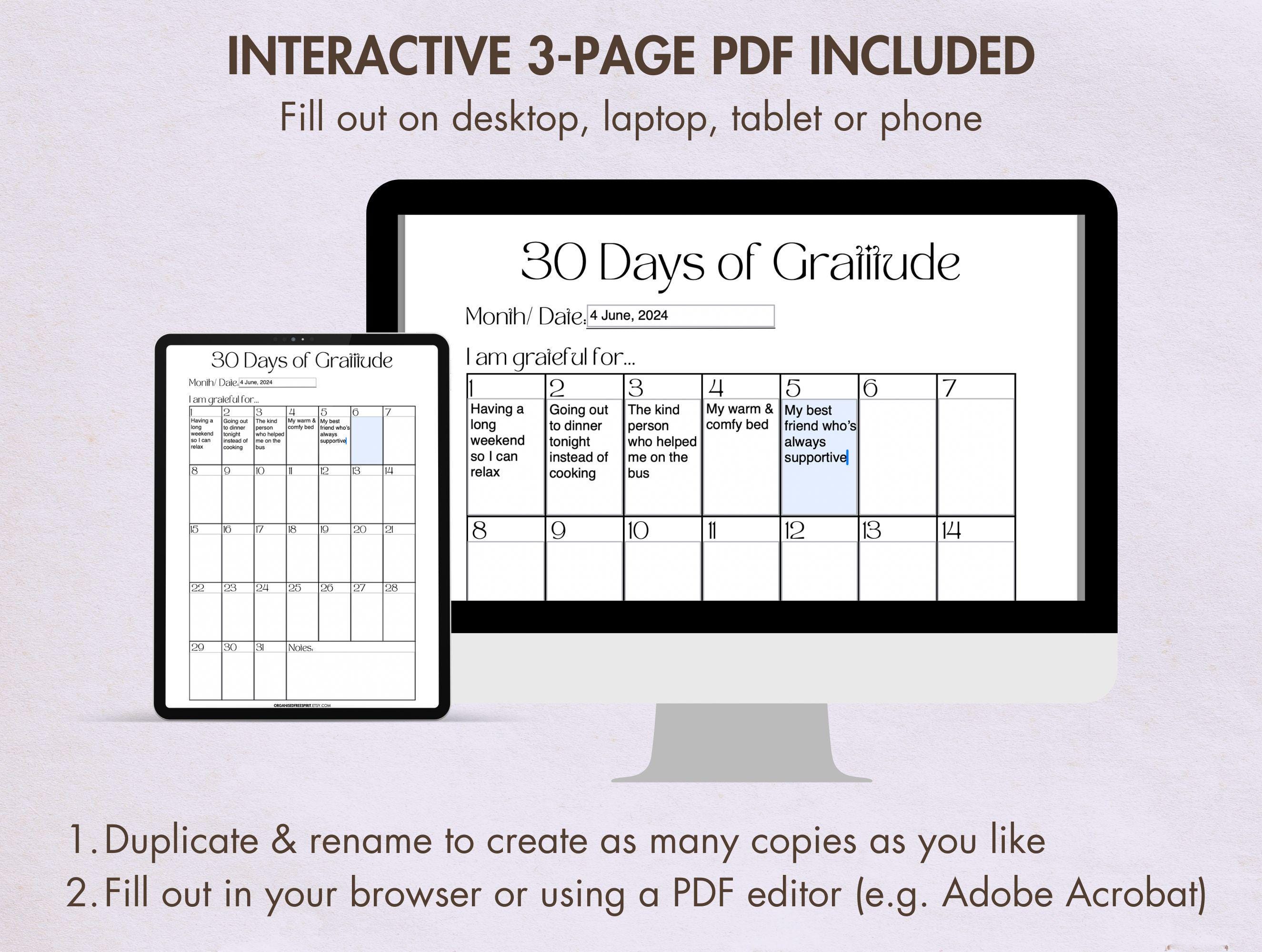 30 Days of Gratitude Journal Printable Digital Monthly Gratitude ...