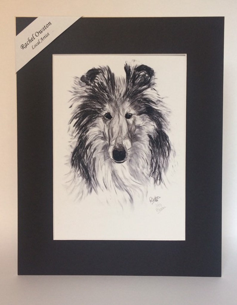 Rough Collie Art Print Collie Portrait Wall Hanging Collie - Etsy