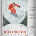 Vintage Snowboarding Poster Distressed Winter Mountain Wall Art, Custom ...