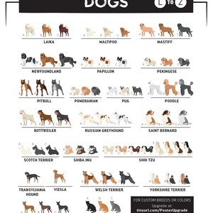 Coral LAKE LIFE Sign, Cuz Beaches Be Salty Lake Art, Couple ...